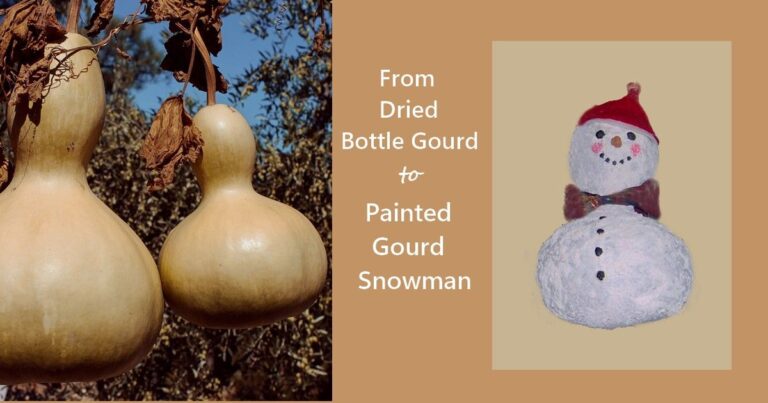 How to Paint a Gourd Snowman - All Free Crafts