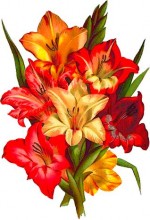 How to Plant, Grow and Display Glads - All Free Crafts