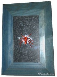 How to Preserve a Spider Web