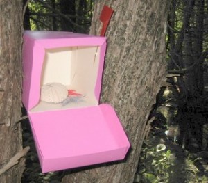 Fairy Mail Boxes