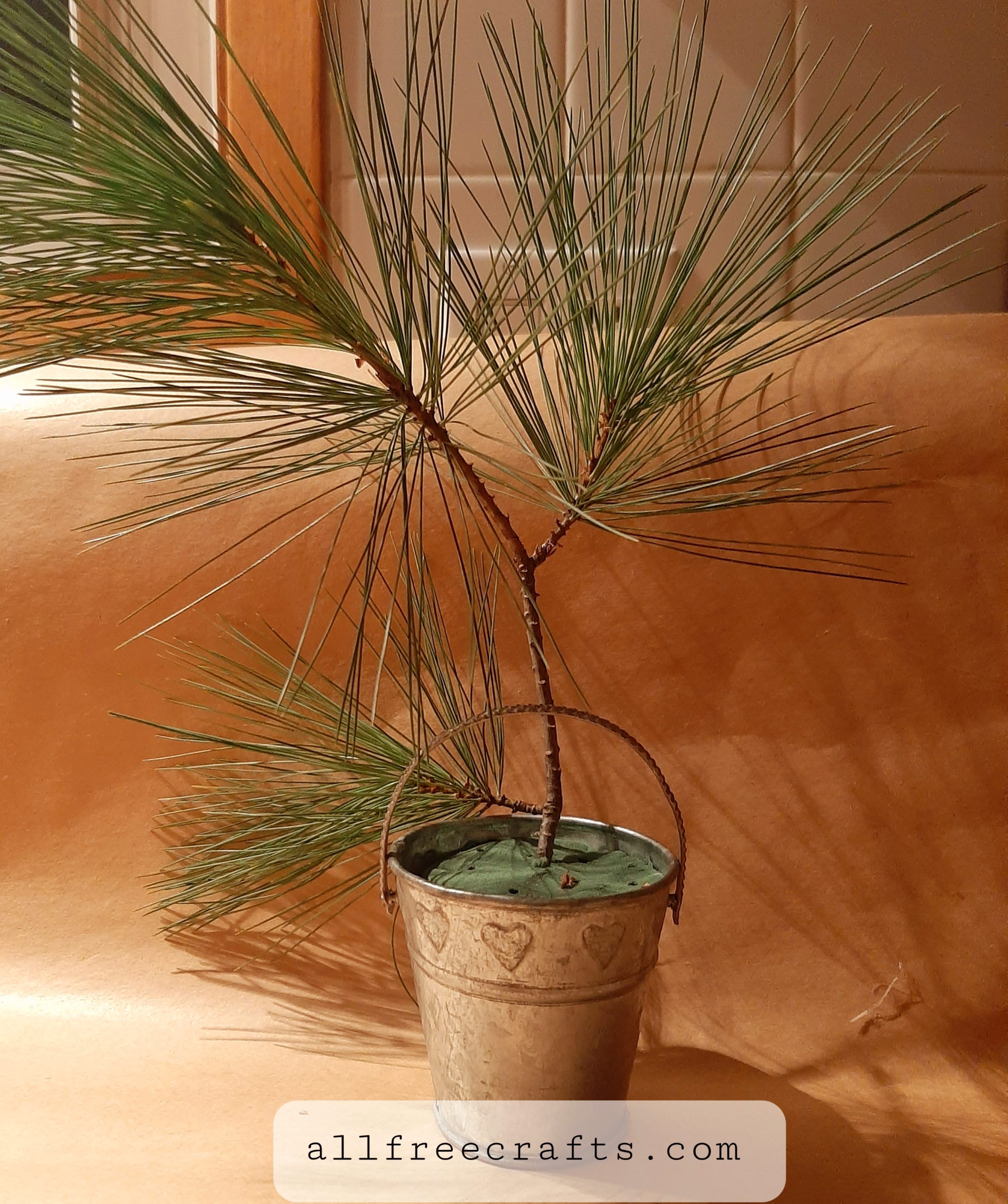 Mini Christmas Evergreen Display - All Free Crafts