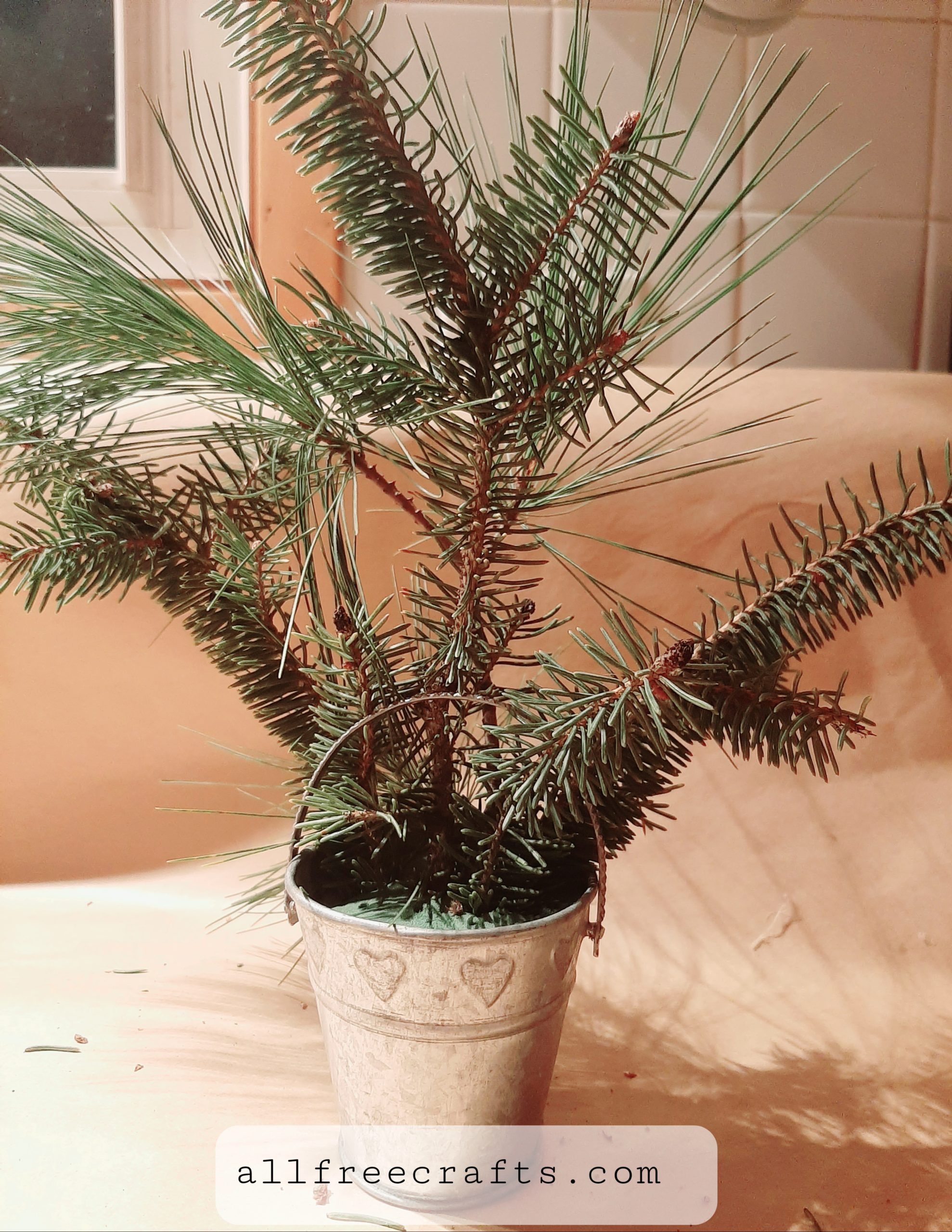 Mini Christmas Evergreen Display - All Free Crafts