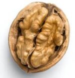 Walnut Mice Craft Project