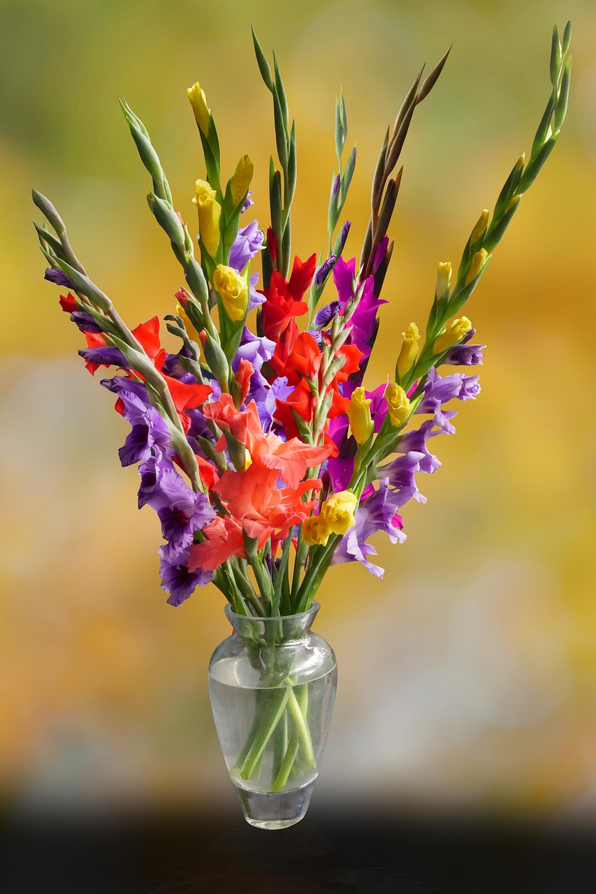 How to Plant, Grow and Display Glads - All Free Crafts