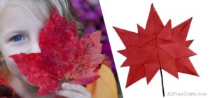 Construction Paper Maple Leaf - DIY plus Video - All Free Crafts