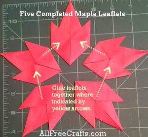 Construction Paper Maple Leaf - DIY plus Video - All Free Crafts